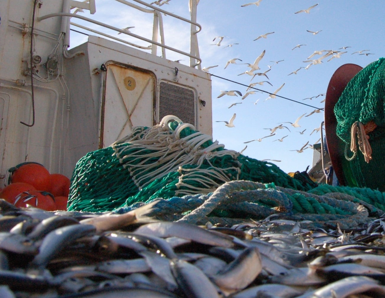 LatestScientificReports - All Items