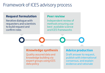 Follow our advisory process