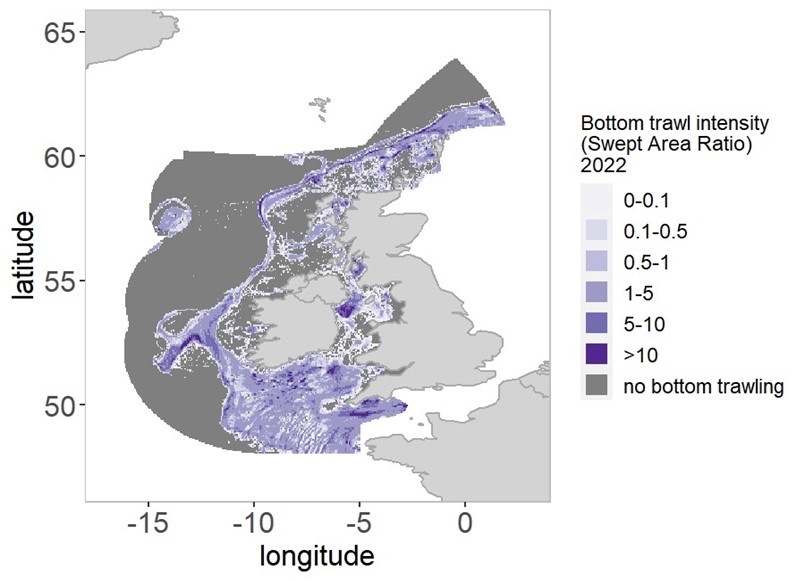 Celtic Seas Ecosystem Overview
